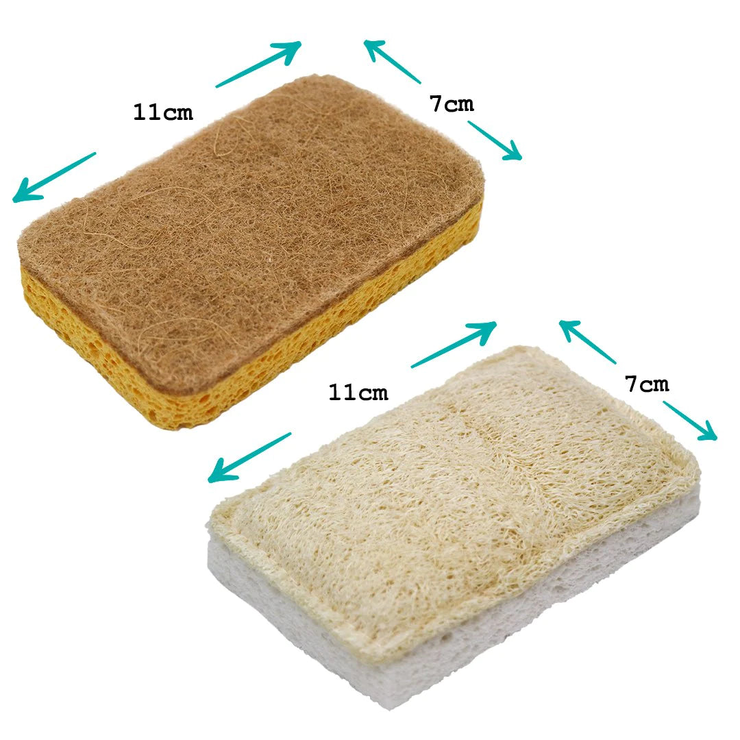 Compostable Sponge + Scourer Duo Pack by Ecovibe – RIVER+PARK: the ...
